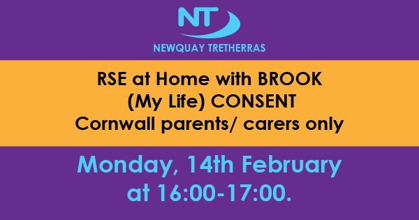 RSE at Home with Brook